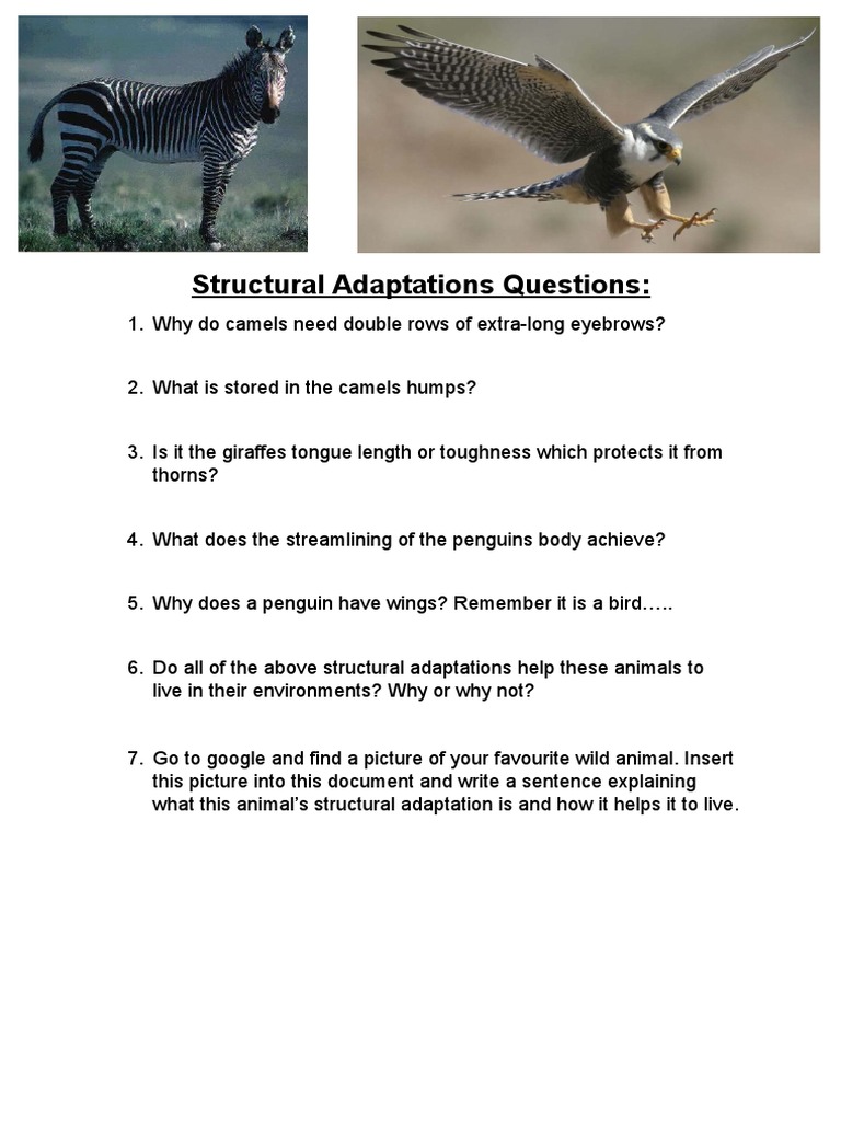 Structural Adaptations in Animals | PDF | Language Arts & Discipline ...