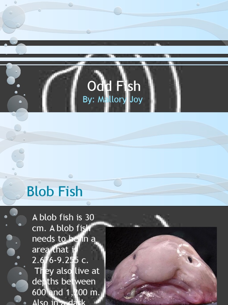 Odd Fish | PDF