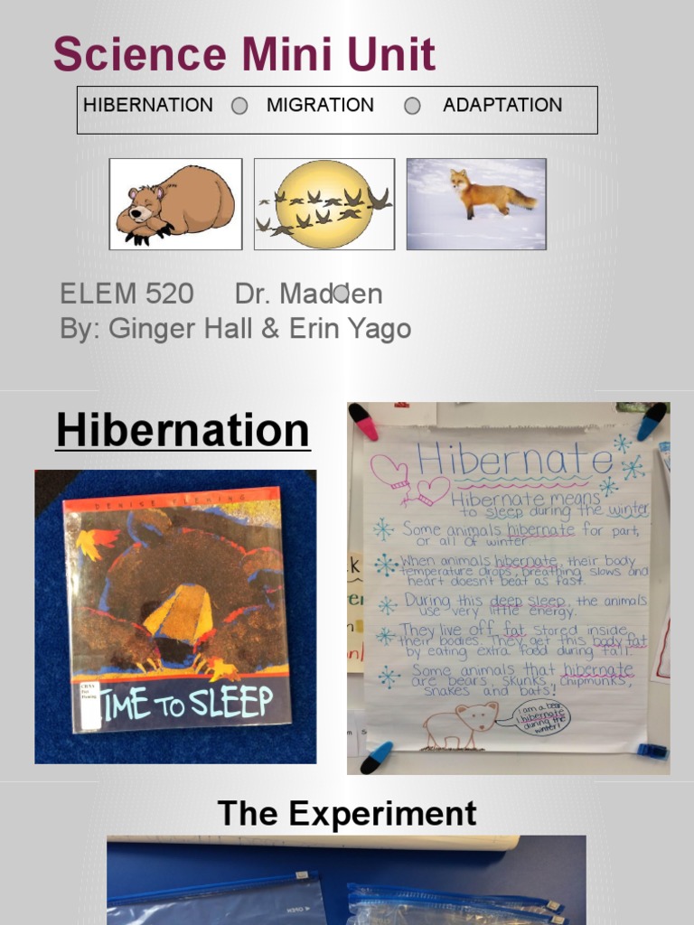 Sciencemini Unit | PDF