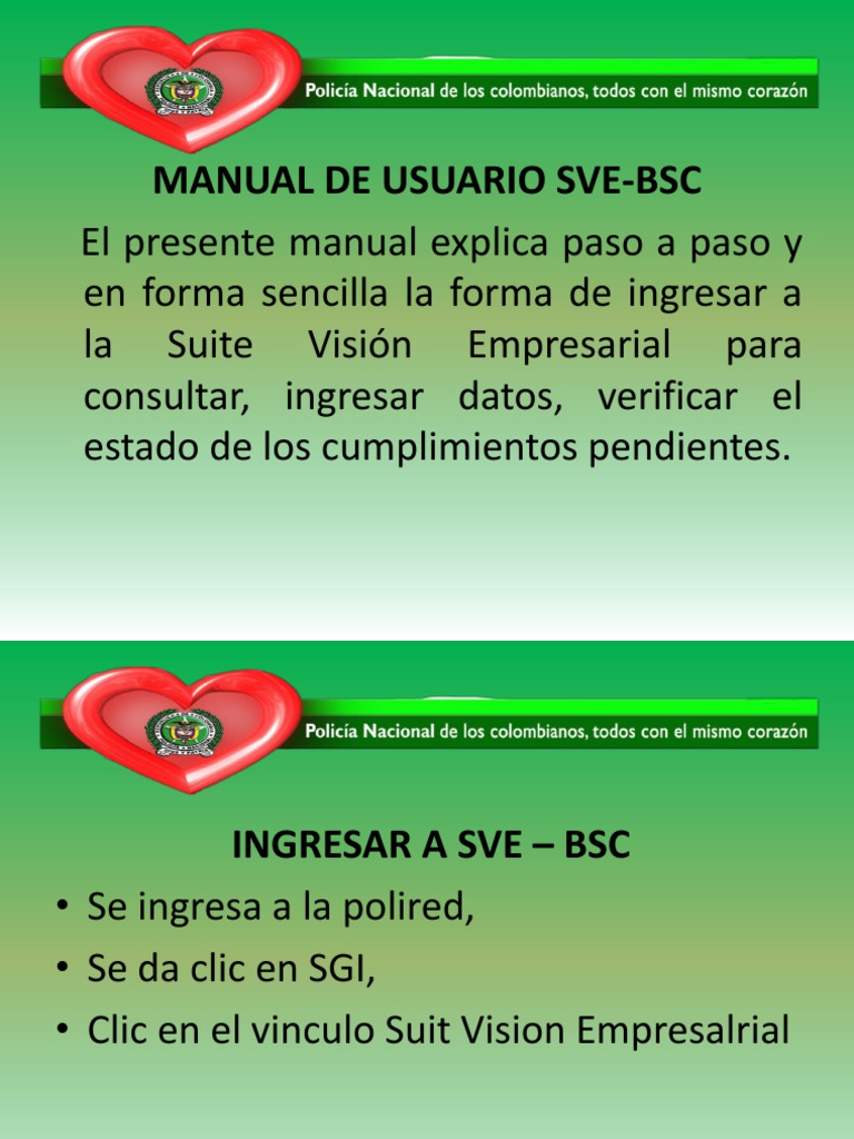 Manual Suite Vision | PDF | Archivo de computadora | Point and Click