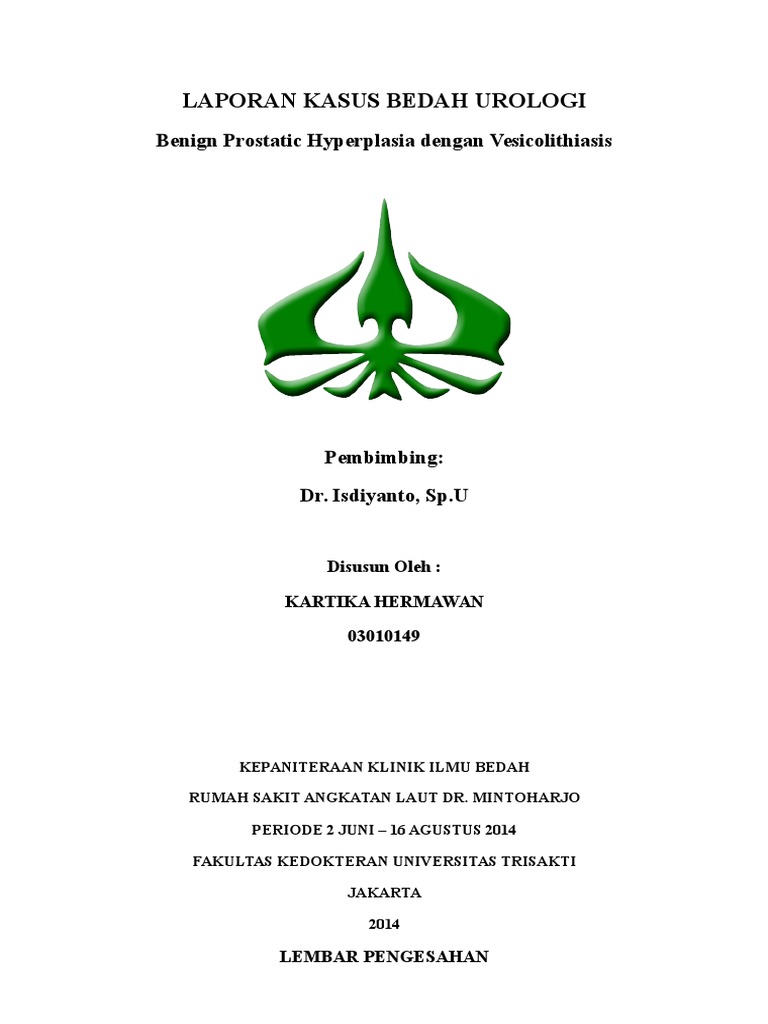 Lapsus Bedah Urologi - BPH Dan Vesicolithiasis | PDF