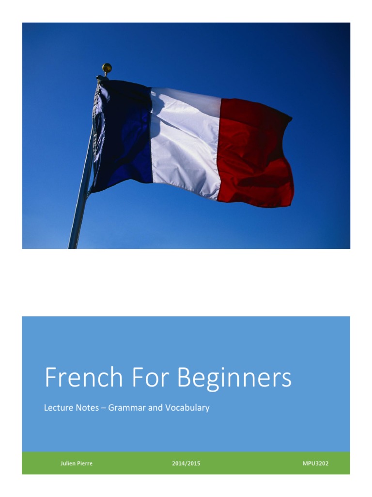 French Lecture Notes PDF | PDF | Grammatical Gender | Plural
