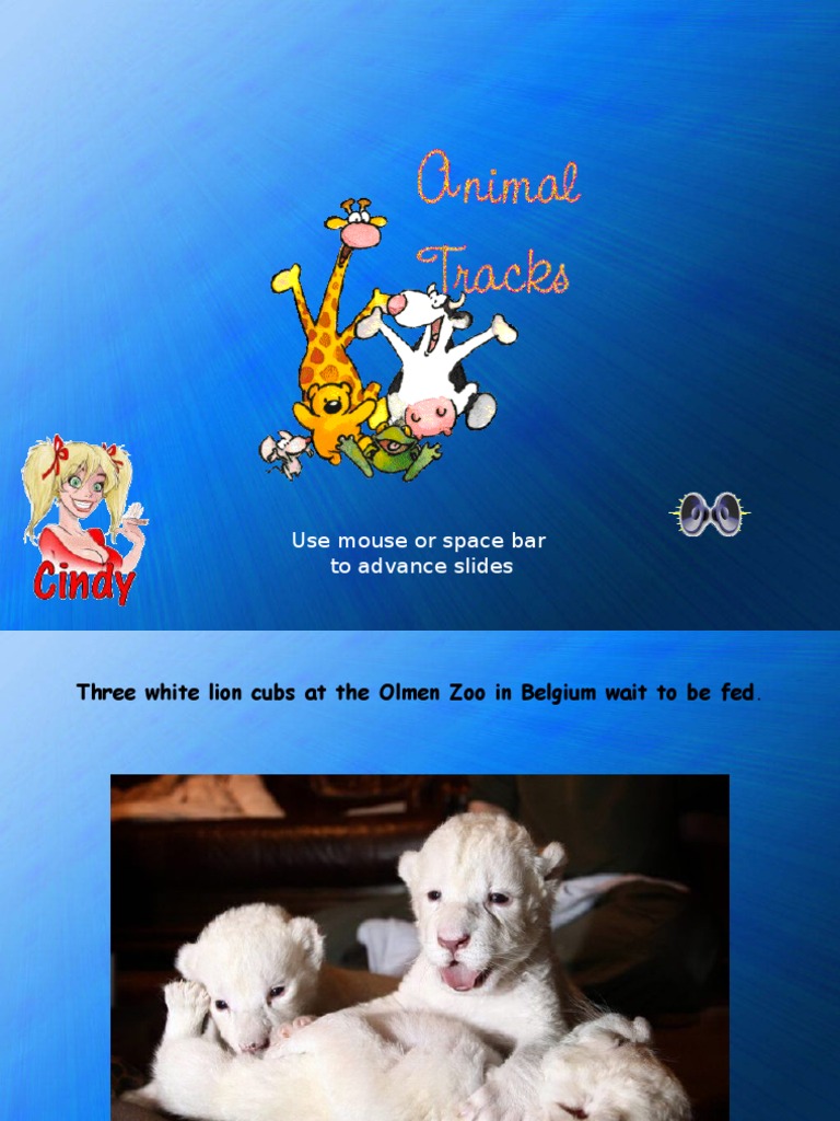 Zoo Animals Around the World Showcase | PDF