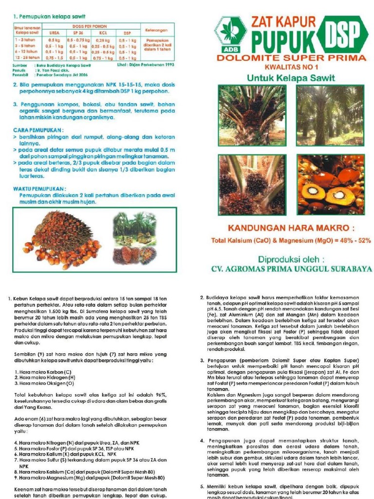 Brosur Kelapa Sawit PDF | PDF