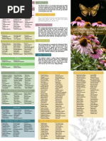 North American Tree Identification Guide | PDF | Flora | Trees