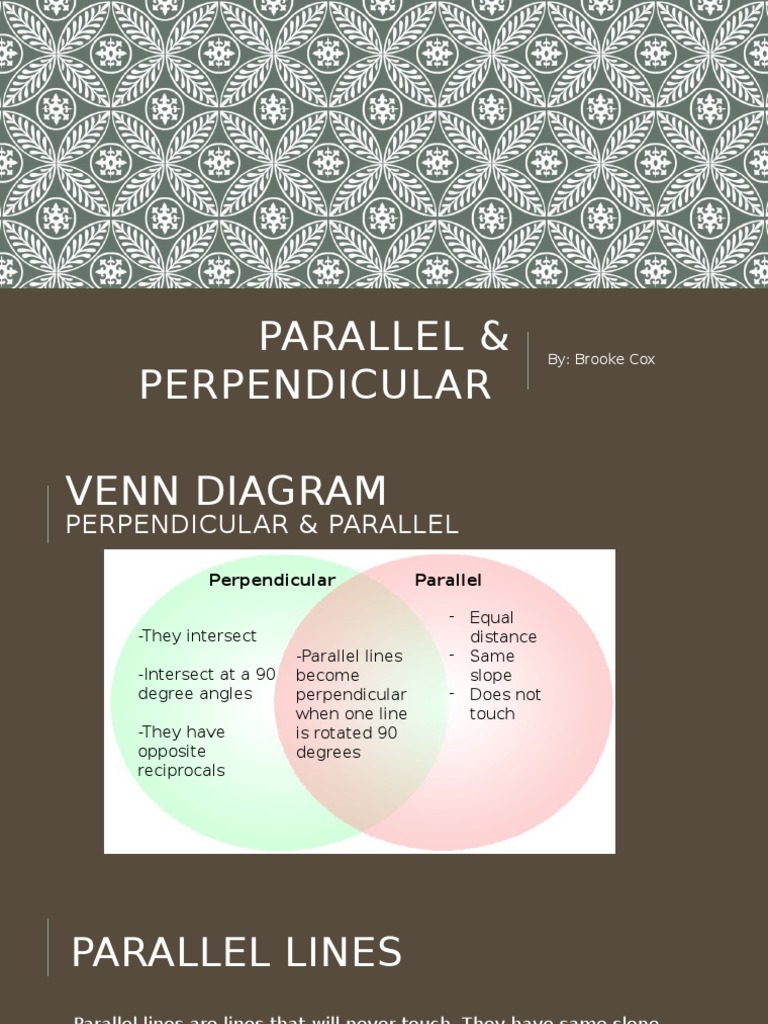 Real-Life Examples of Lines | PDF