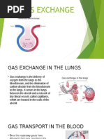 Anatomy and Physiology of Lungs | PDF | Lung | Respiratory Tract