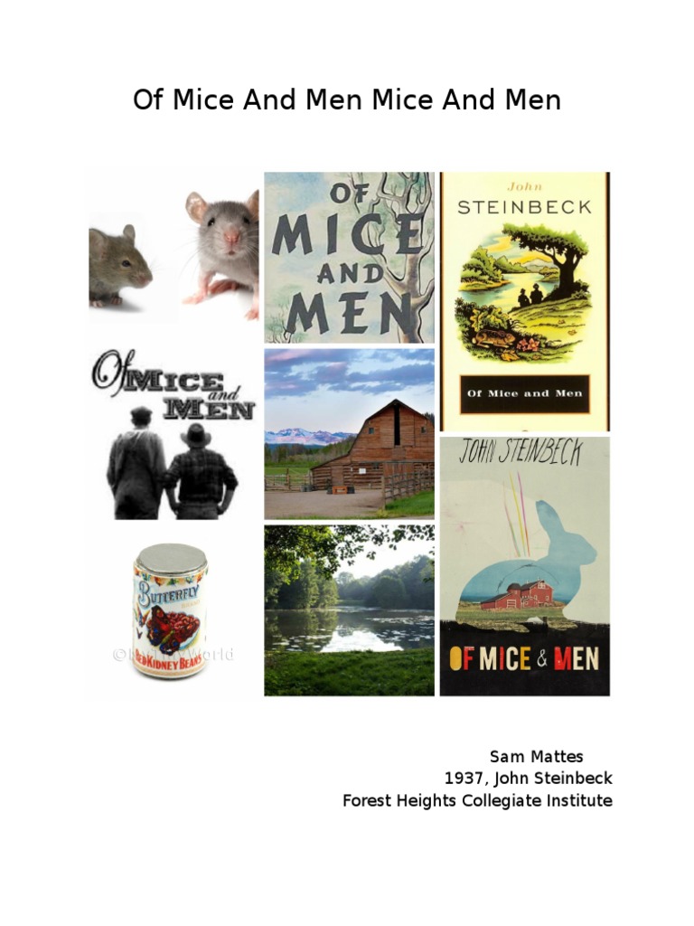 Mice Title Page Word | PDF