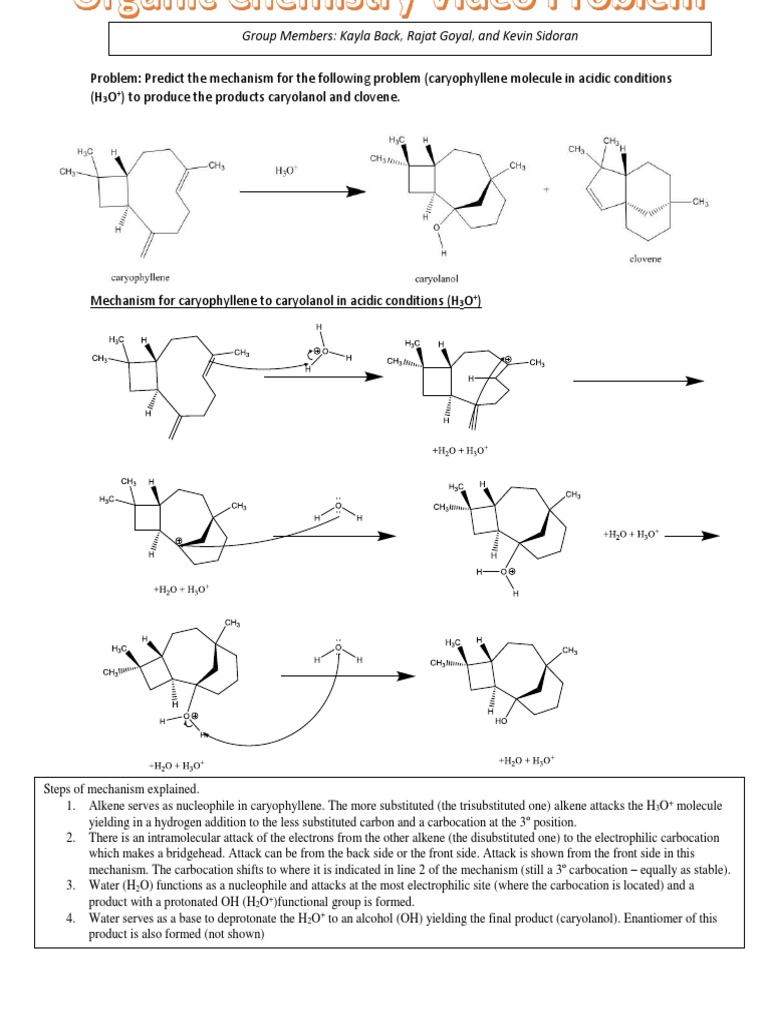 Organic Chemistry Video Problem Explained and Handout | PDF