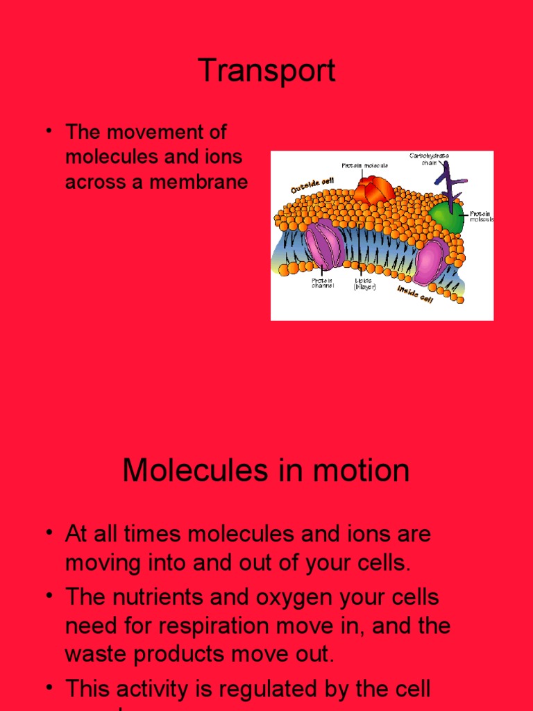 Transport Powerpoint | PDF | Cell Membrane | Biochemistry