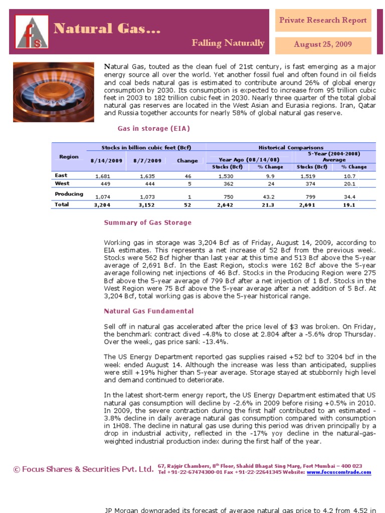 Natural Gas Report | PDF | Natural Gas Prices | Natural Gas
