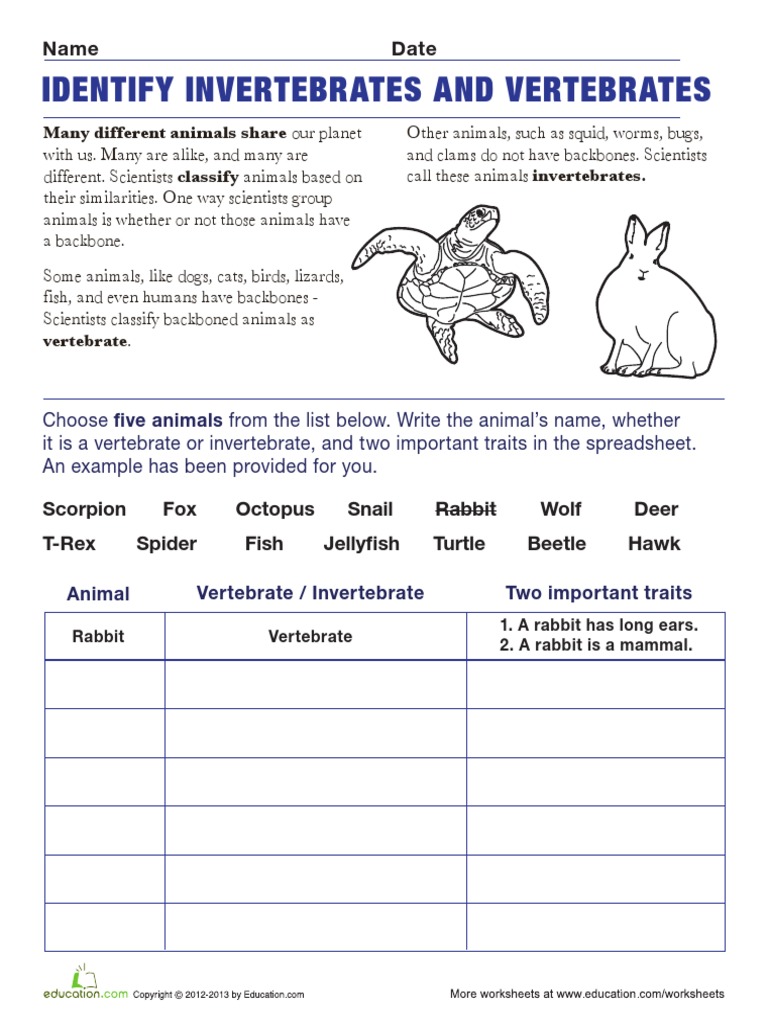 Invertebrates Classification Worksheet