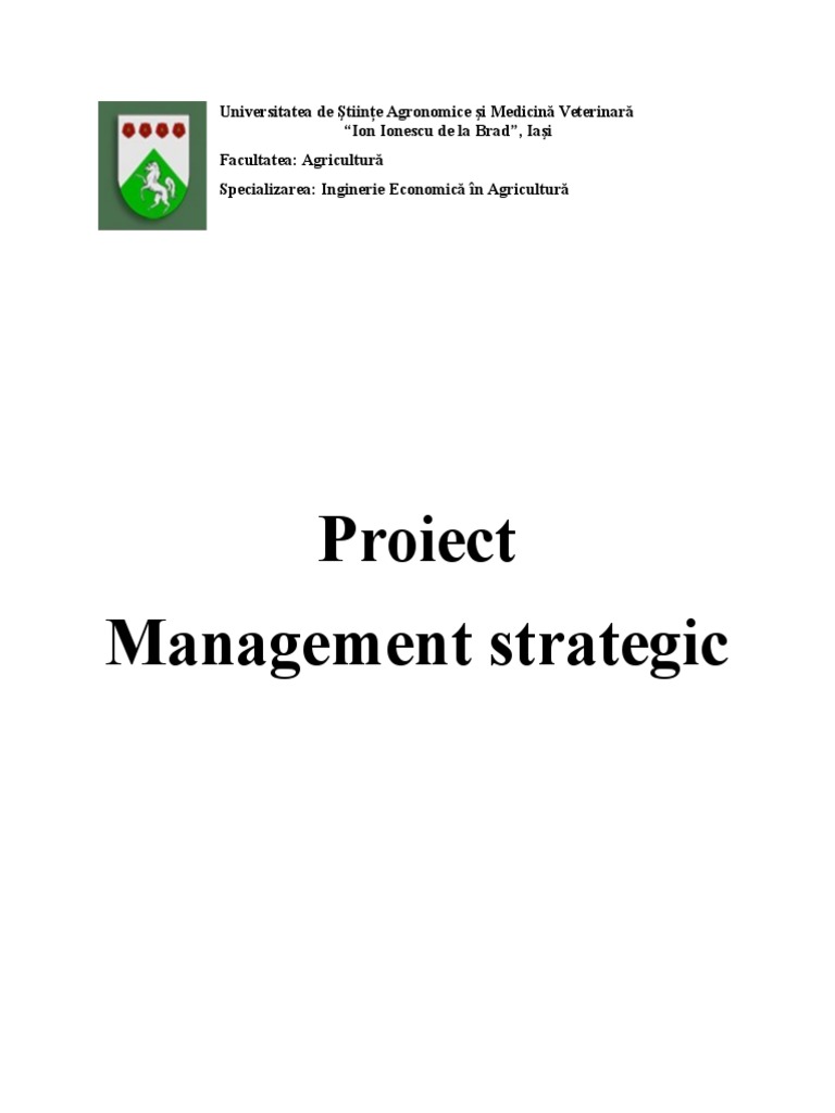 Proiect Management Strategic | PDF