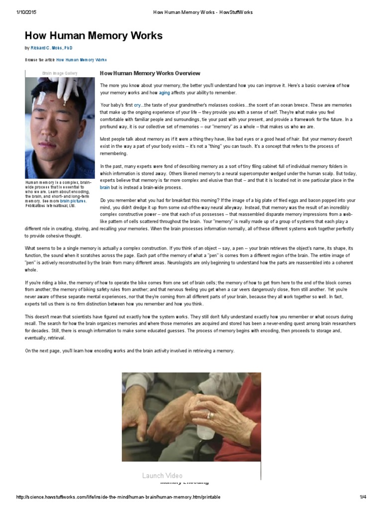 How Human Memory Works | Download Free PDF | Memory | Neuron