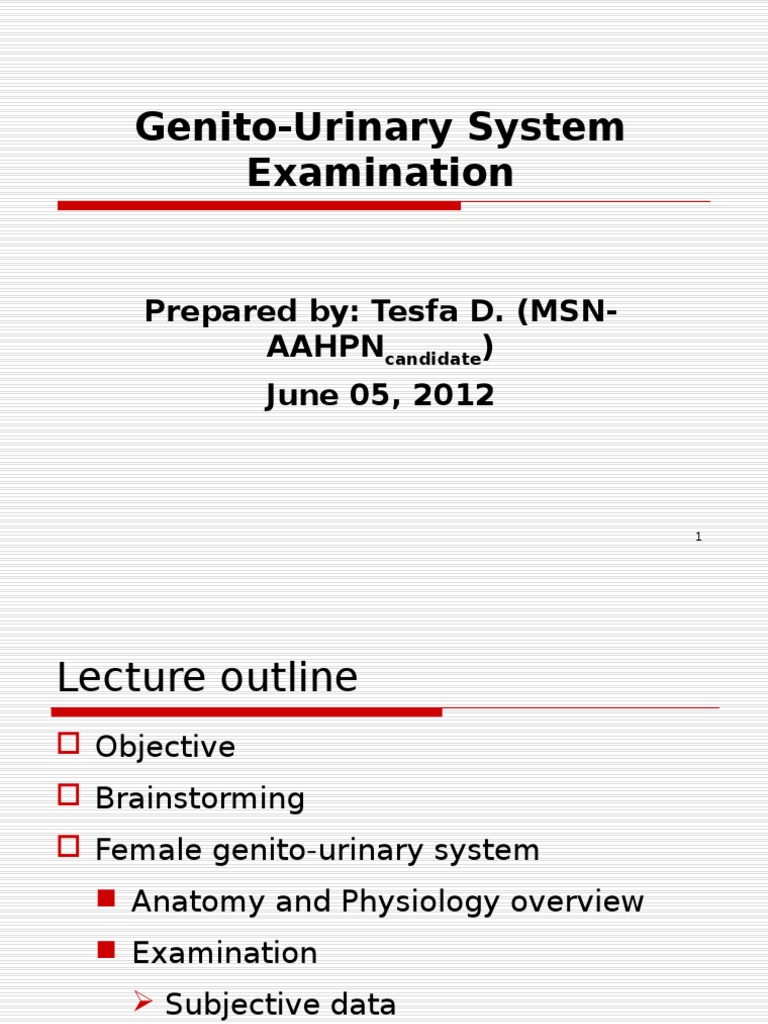 Unit-15-Genitourinary Examination | PDF | Vagina | Labia