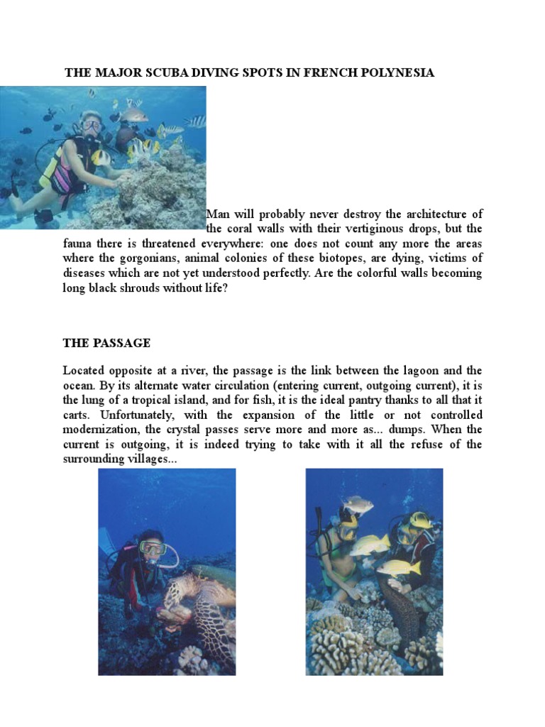 The Major Scuba Diving Spots in French Polynesia | PDF | Coral Reef | Pearl
