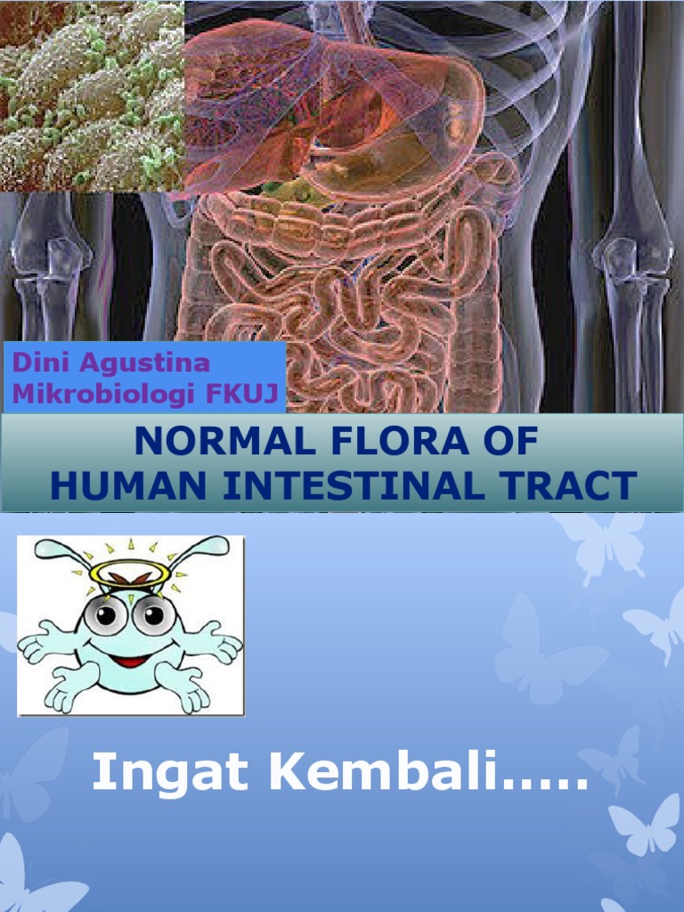 KULIAH 4 Flora Normal GI Tract | PDF | Microorganism | Clinical Pathology