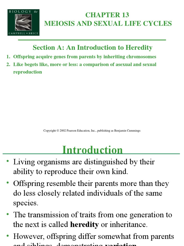 Chapter 13 Meiosis and Sexual Life Cycles Section A: An Introduction To ...