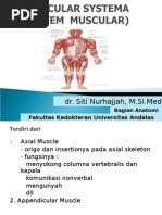 Anatomi Tulang dan Otot Trunk | PDF | Kajian Bahasa Asing