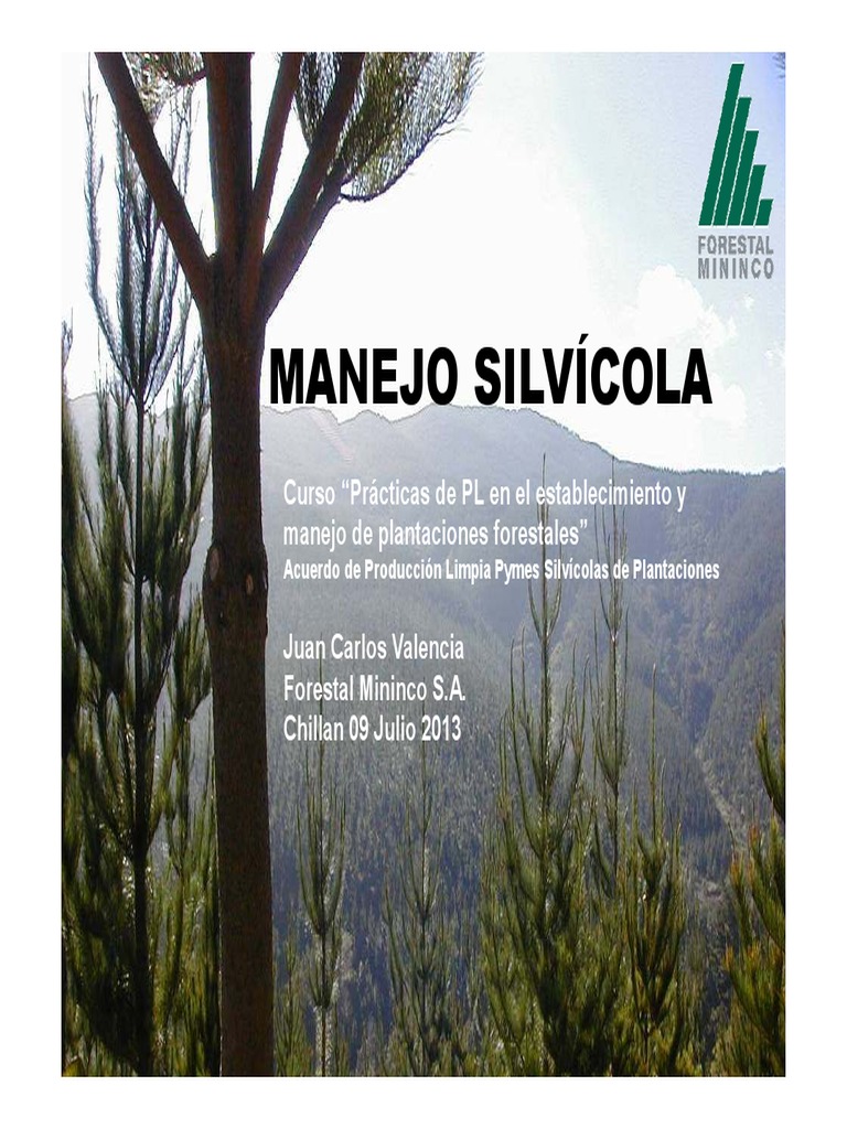 Manejo Silvicola Forestal Mininco Chillan Araucania | PDF | Los bosques ...