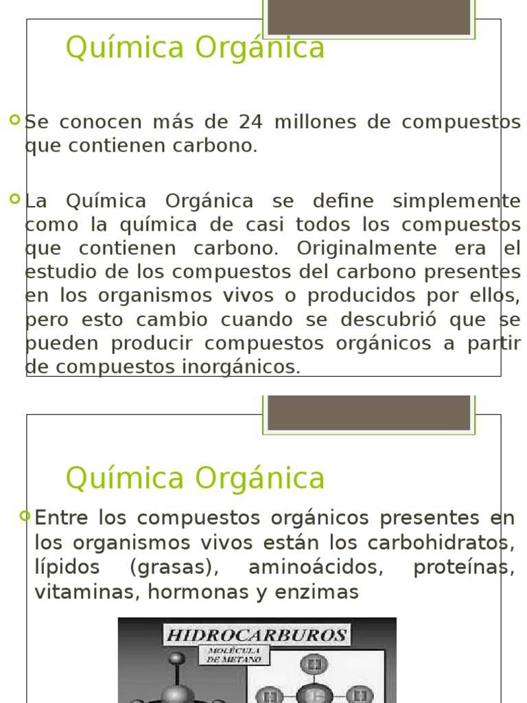 Quimica Organica 1 Pdf Alqueno Cetona