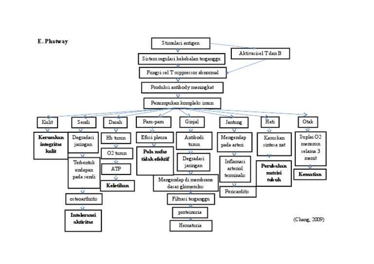 Pathway SLE | PDF