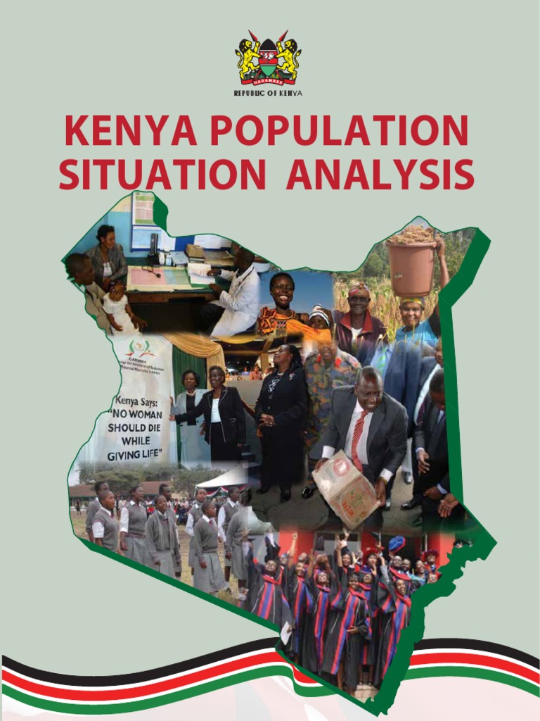 Final Psa Report | PDF | Millennium Development Goals | Tuberculosis