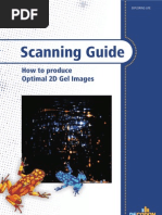 ImageJ Gel Analysis | PDF | Western Blot | Image Scanner