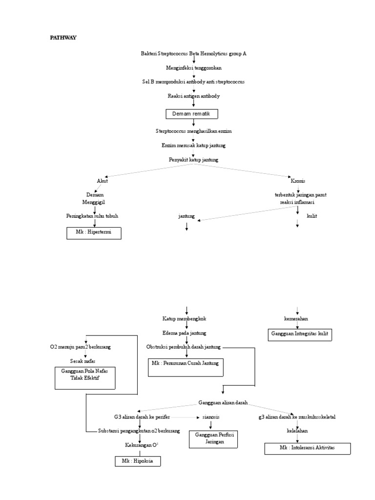 Pathway Demam Rematik | PDF