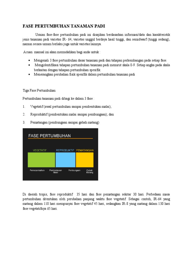 Fase Pertumbuhan Tanaman Padi | PDF