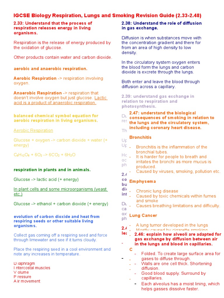 IGCSE Biology: Respiration Guide | PDF | Cellular Respiration | Lung