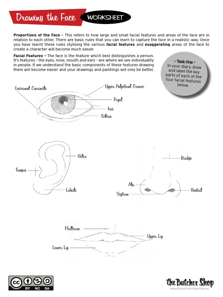 Drawing The Face-Worksheet PDF | PDF | Face | Human Head And Neck