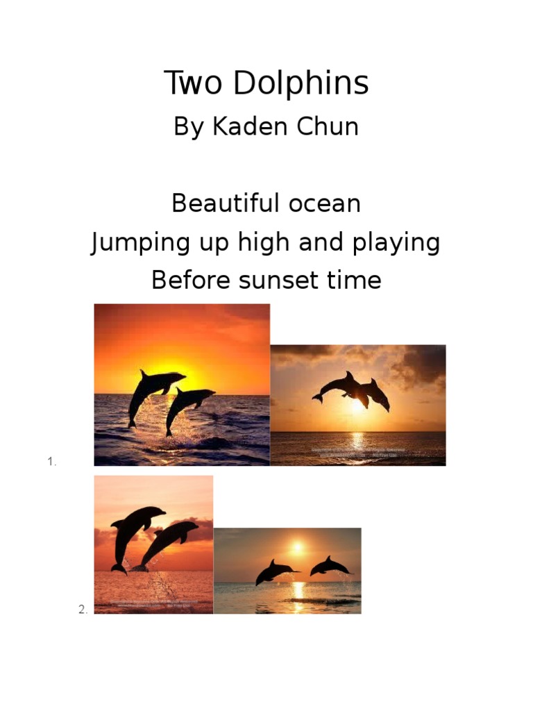 Two Dolphins Haiku | PDF