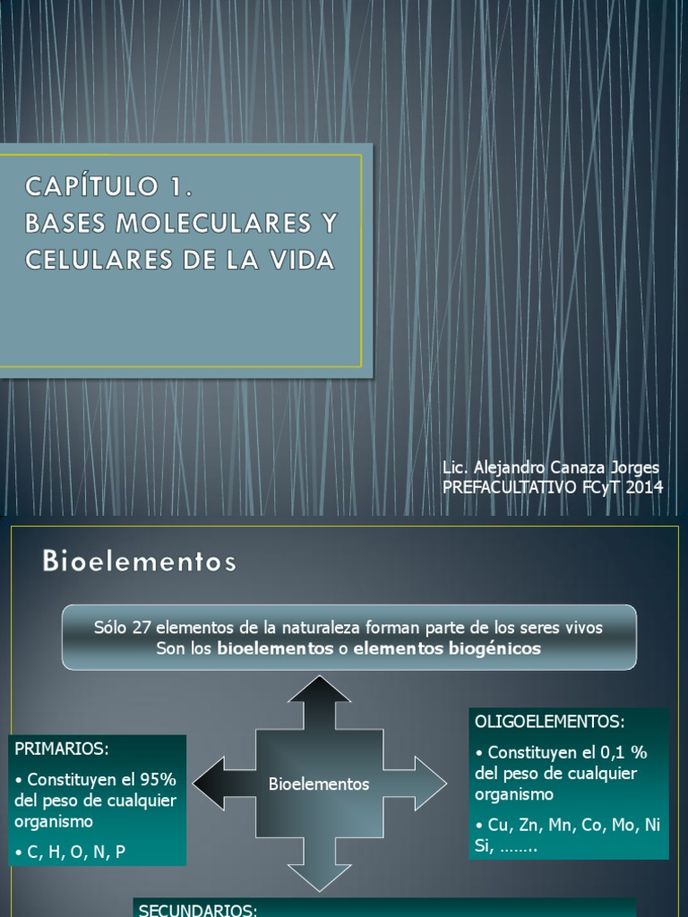 Bases Moleculares y Celulares de La Vida PDF | PDF | Rna | Adn