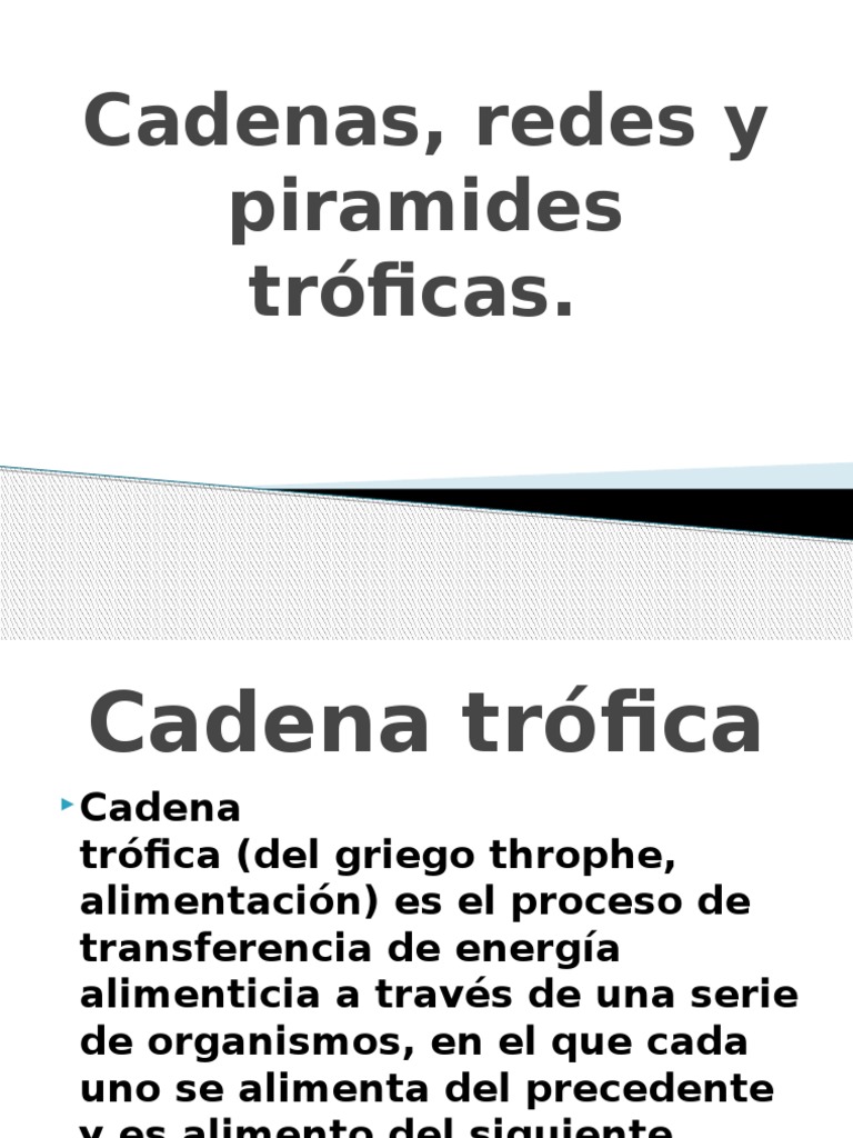 Cadenas, Redes y Piramides Tróficas | PDF | Ciencia medioambiental ...