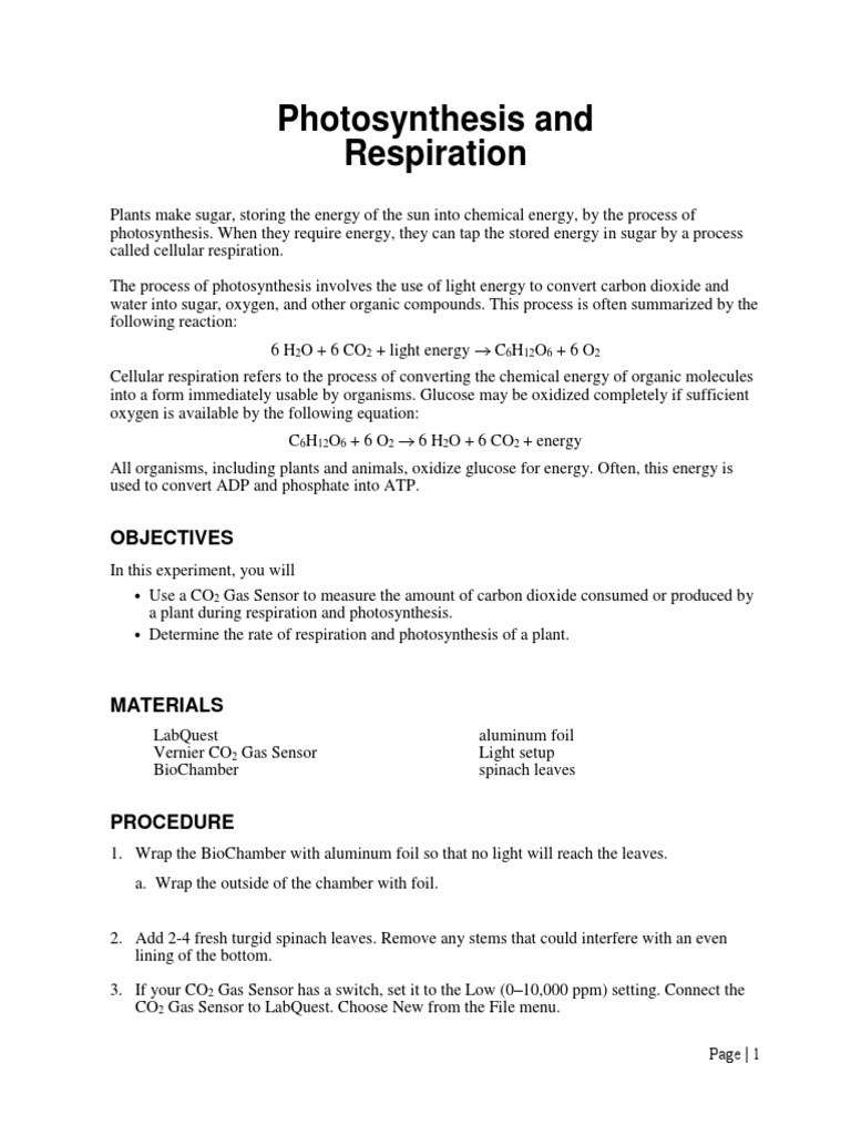 Photosynthesis Lab Using Co2 Sensor | PDF | Photosynthesis | Cellular ...