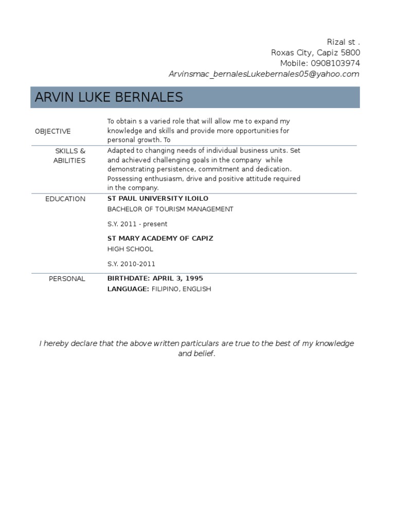 Arvin Luke Bernales - Resume Summary | PDF