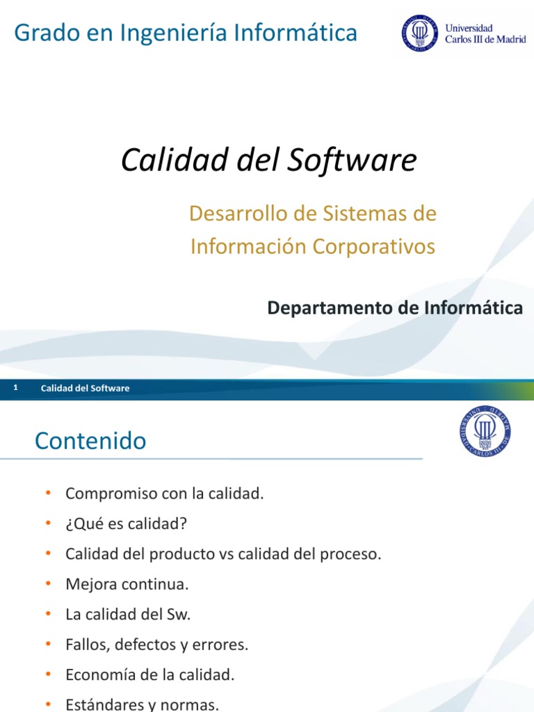 2.2. Defectos y Errores de Calidad en Los Sistemas de Información | PDF