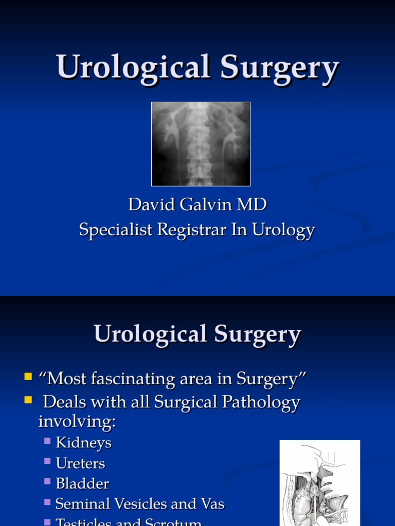 Urology | Urology | Medicine