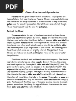 SCIENCE-5-Q2-Module 4 | PDF | Flowers | Plant Reproduction