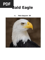 Bald Eagle: Characteristics and Habitat | PDF