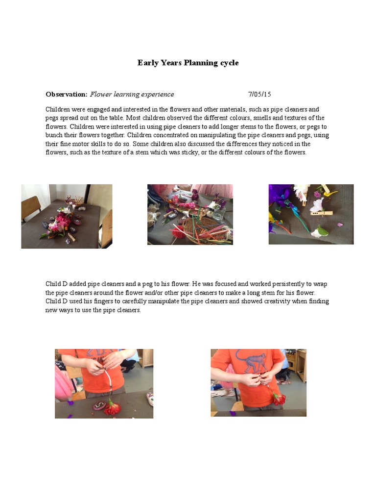 Early Years Planning Cycle Write Template - Flower Learning Experience ...
