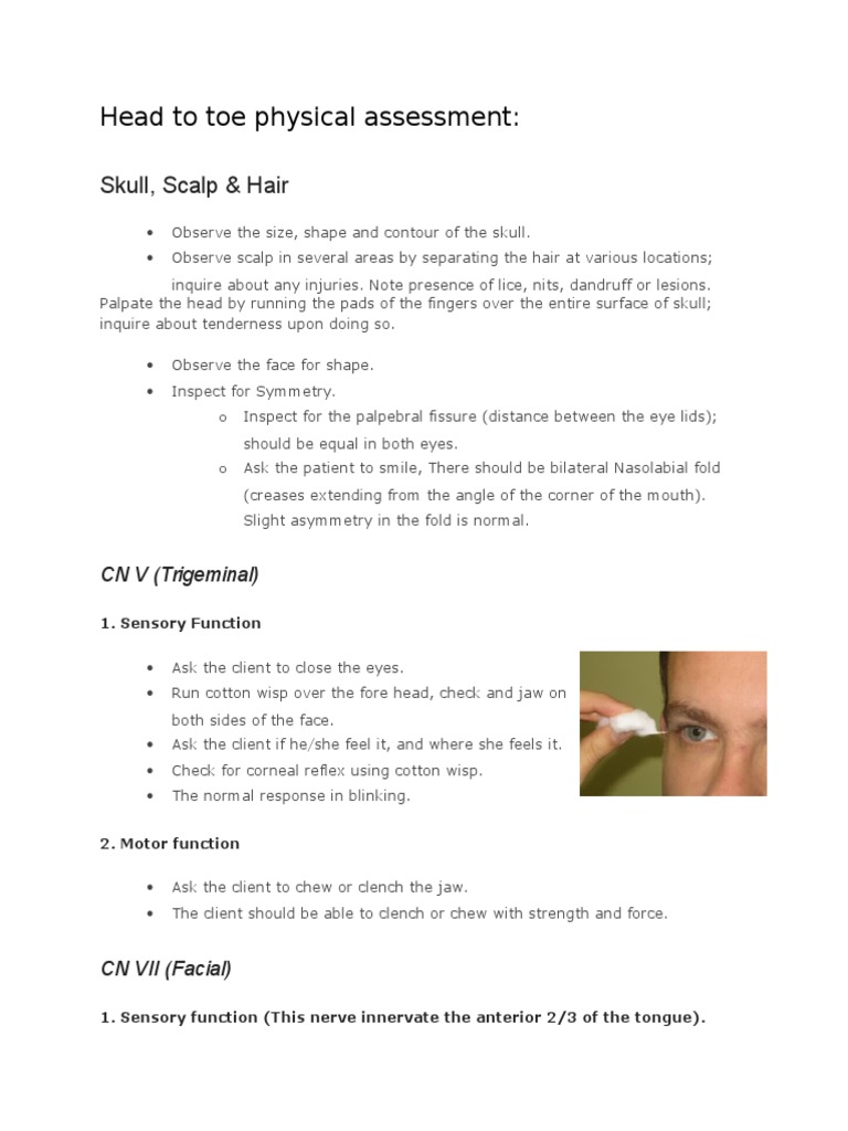 Head-to-Toe Physical Assessment Guide | PDF | Heart Valve | Heart
