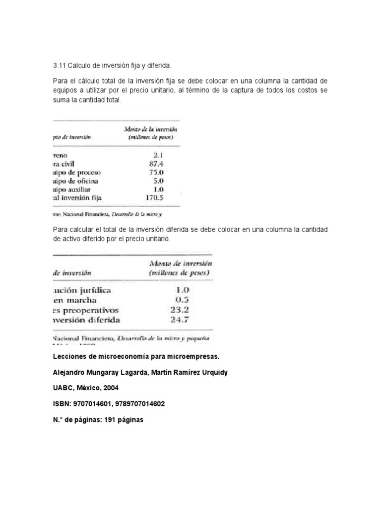 3.11 Calculo de Inversión Fija y Diferida | PDF | Presupuesto | Science
