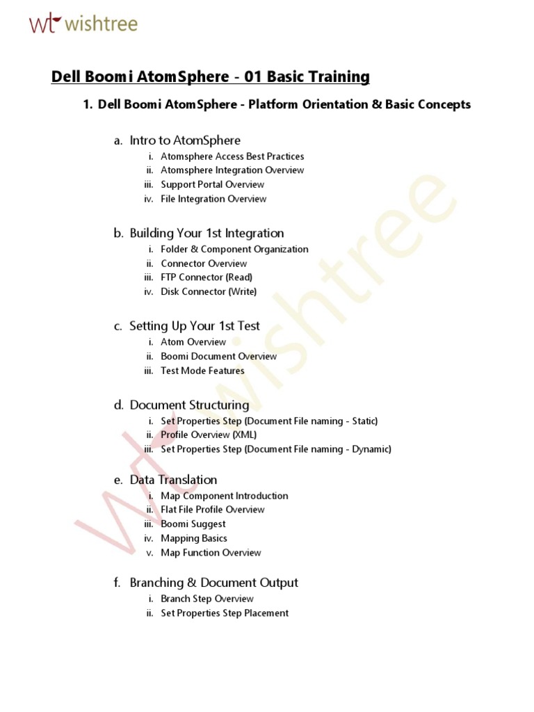 Dell Boomi Atomsphere - Platform Orientation & Basic Concepts | PDF | Salesforce.Com | Databases