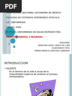 Proceso de Atención de Enfermería (PAE) Libro | PDF | Examen físico ...