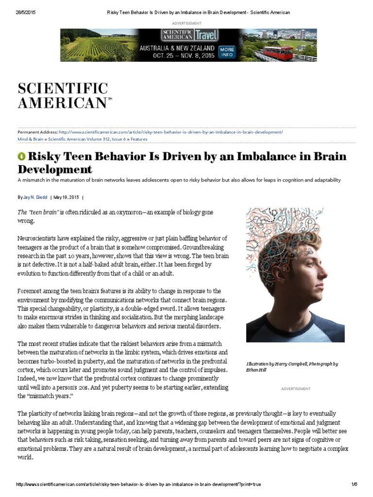 Risky Teen Behavior Is Driven by An Imbalance in Brain Development ...