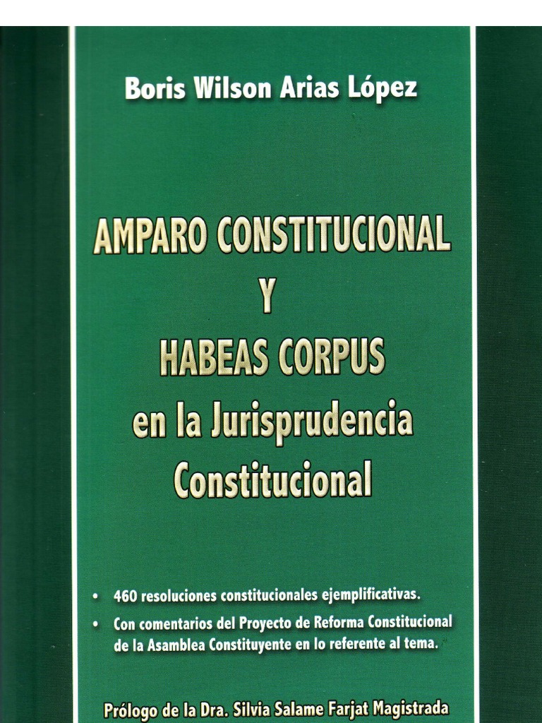 Amparo Y Habeas Corpus Pdf Caso De Ley Habeas Corpus