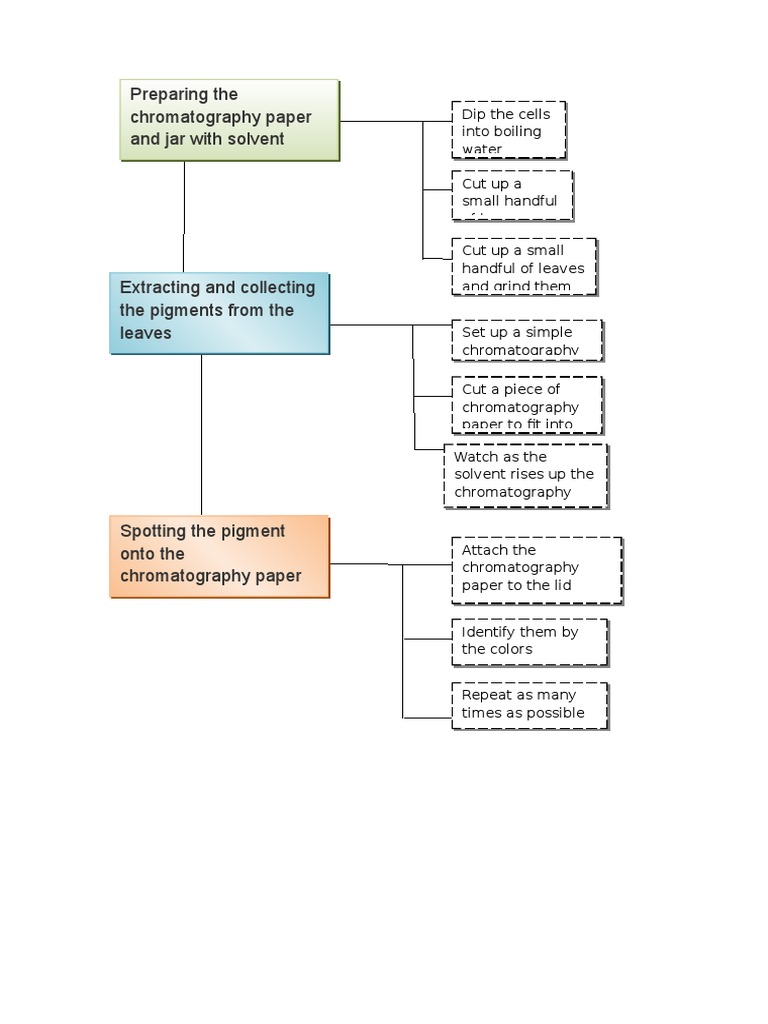 Preparing The Chromatography Paper and Jar With Solvent | PDF