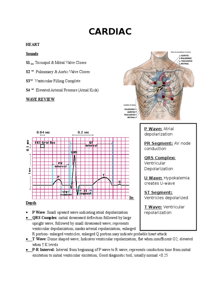 Nclex Study Guide | PDF | Ventricle (Heart) | Heart